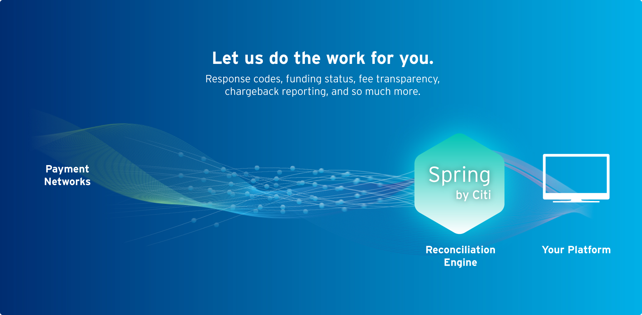 Spring by Citi | Our Solutions